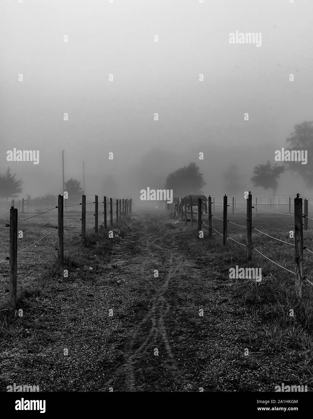 Early morning sky view Black and White Stock Photos & Images - Alamy