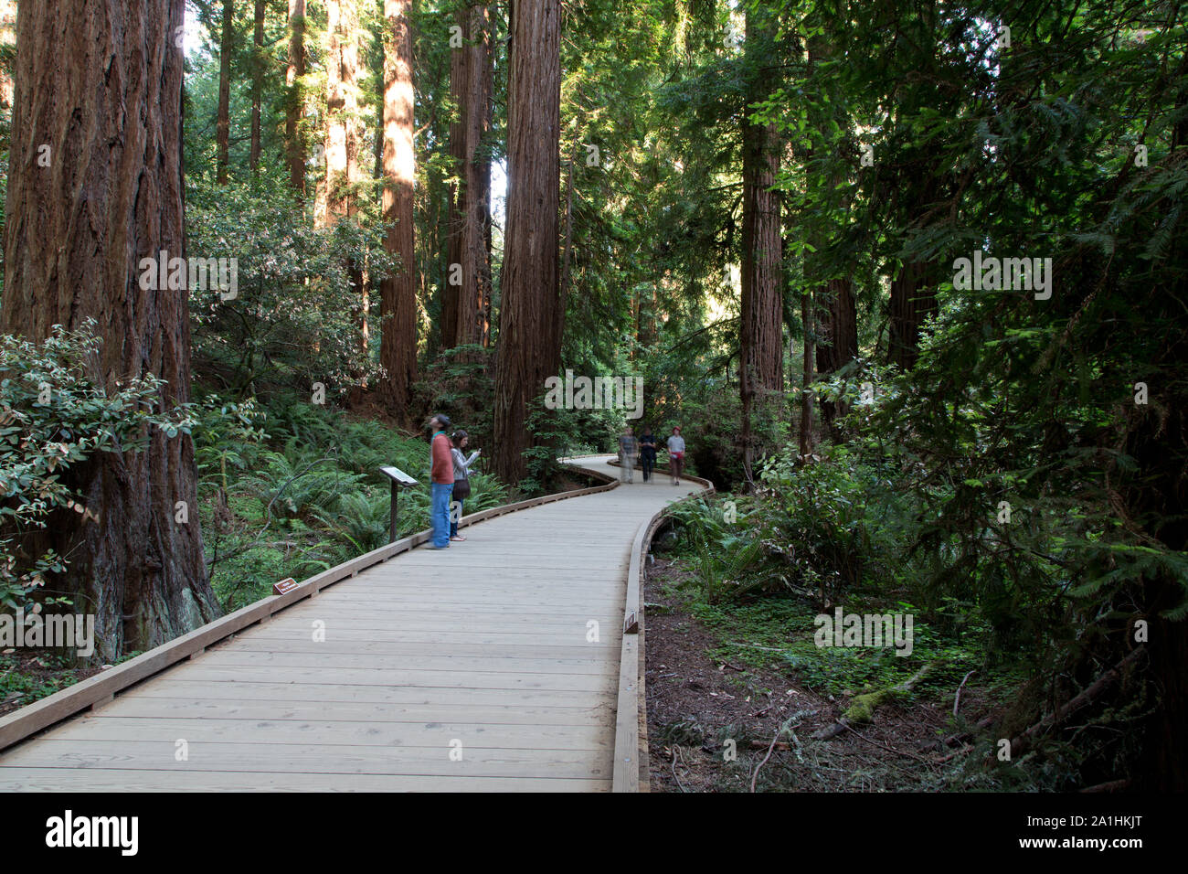 Muir Woods, a National Park Service site named for John Muir in ...