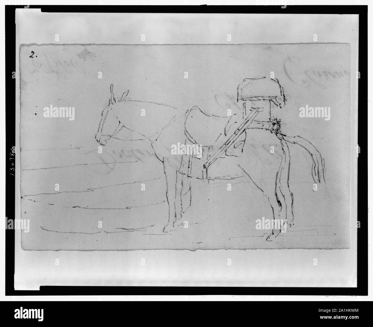 Pack mule Cut Out Stock Images & Pictures - Alamy