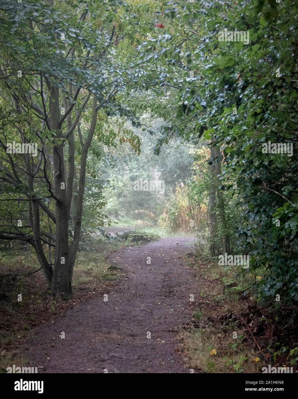 Fog descends hi-res stock photography and images - Alamy