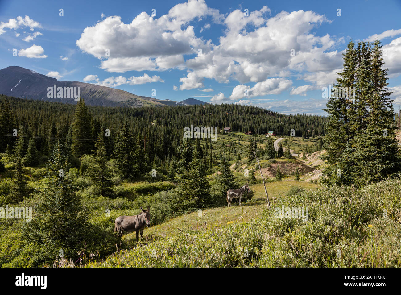 Hoosier pass bicycle hi-res stock photography and images - Alamy