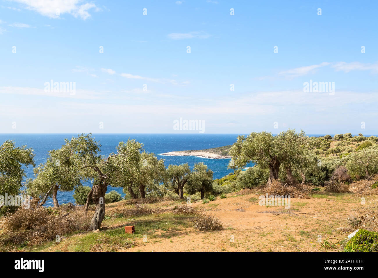 Summer vacation background with greek island Thassos, olive trees and ...