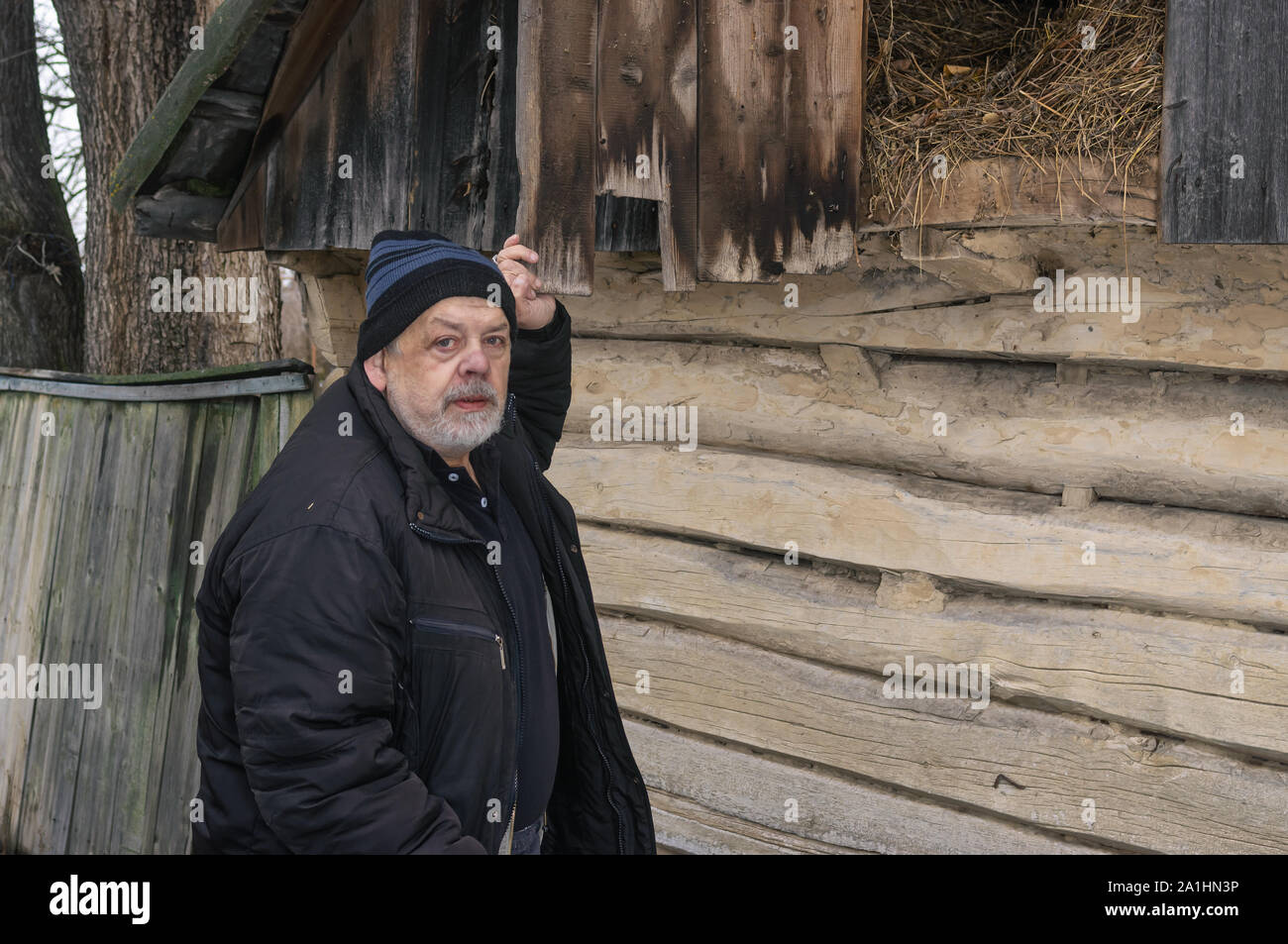 Outdoor portrait of Ukrainian old man standing near his barn with hay ...