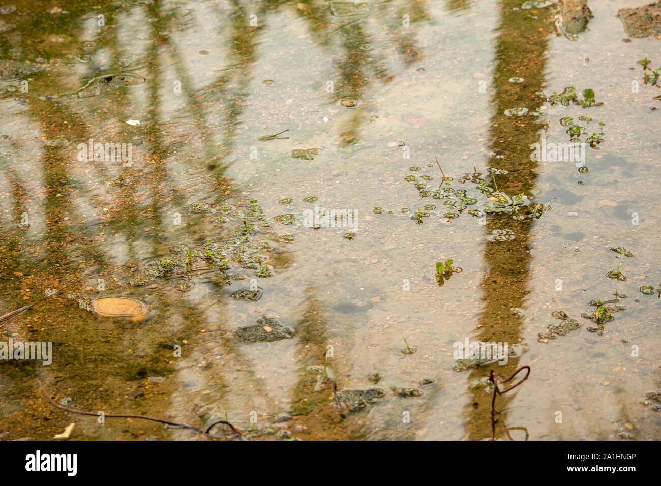 Ground after rainfall hi-res stock photography and images - Alamy