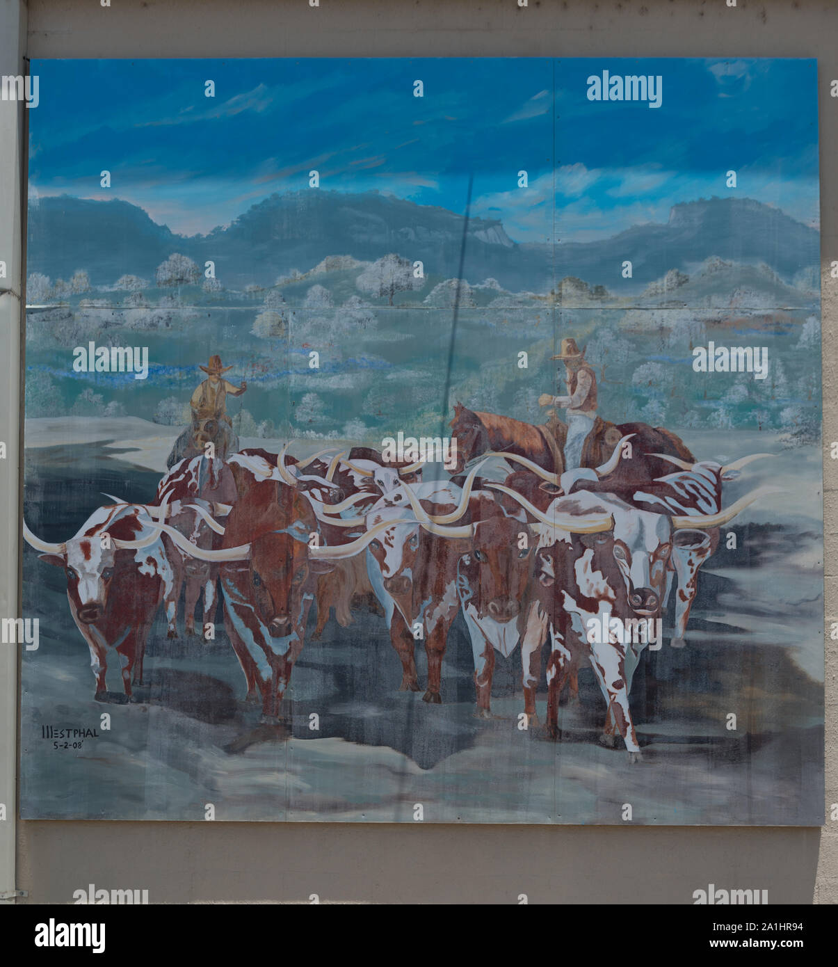 Texas cattle on the kansas hi-res stock photography and images - Alamy