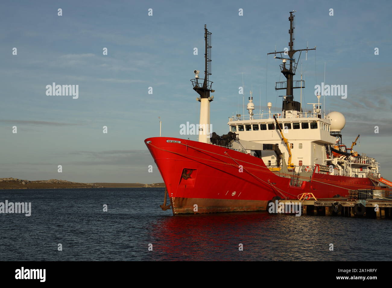 Ship wildlife hi-res stock photography and images - Alamy
