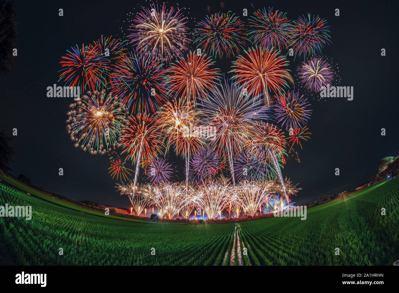 Beautiful firework at the night upon the rice paddy field Stock Photo ...
