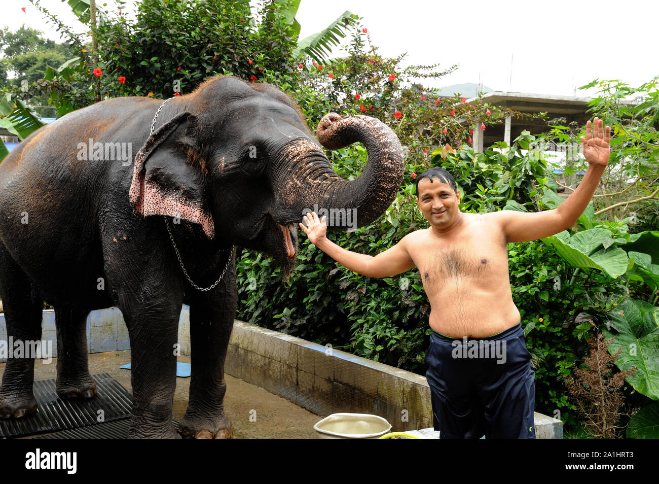 Indian man sitting on elephant hi-res stock photography and images - Alamy