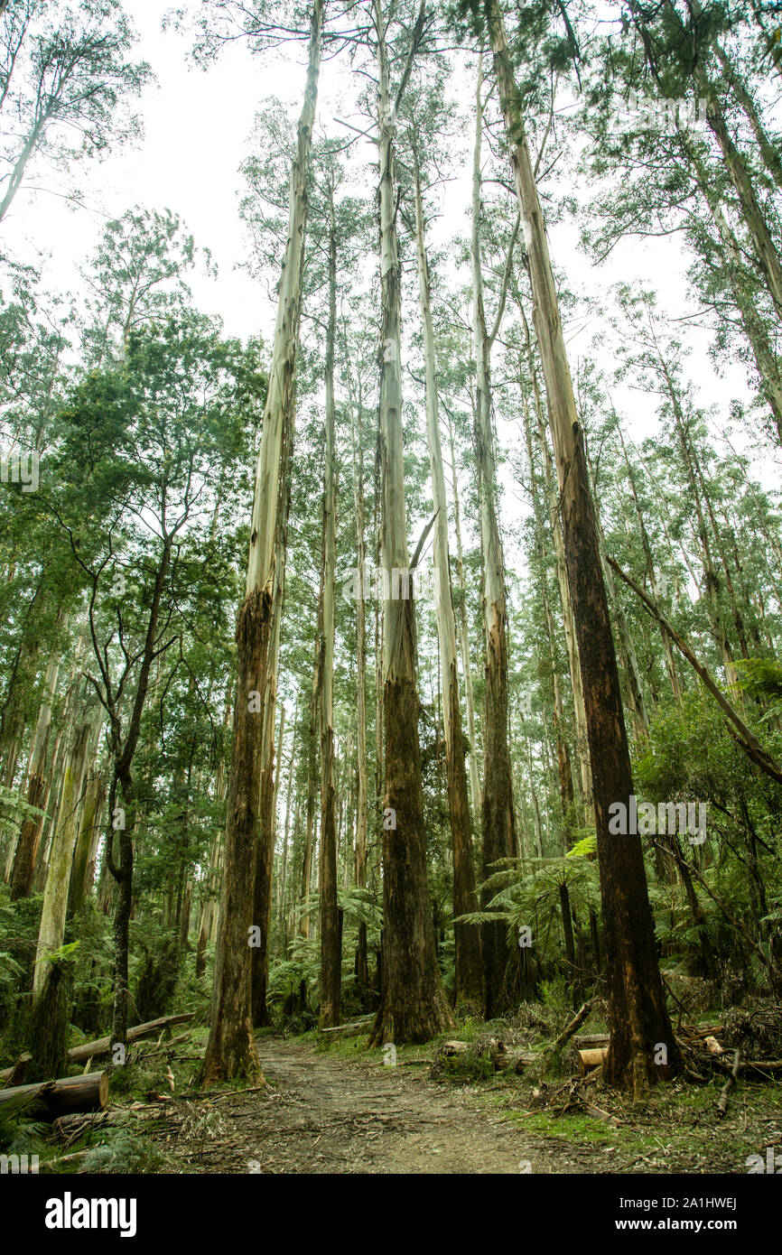 Ash ranges hi-res stock photography and images - Alamy