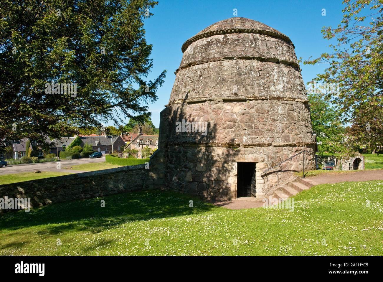 Dome shaped tree hi-res stock photography and images - Alamy
