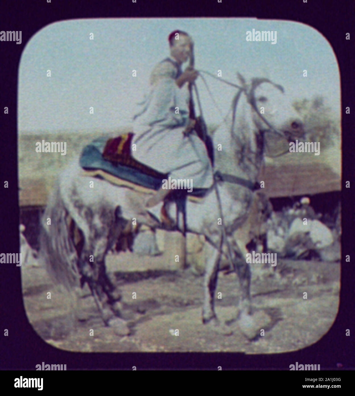 N. Africa (?) man with rifle on horseback, An Arab Cavalier - Tuns ...