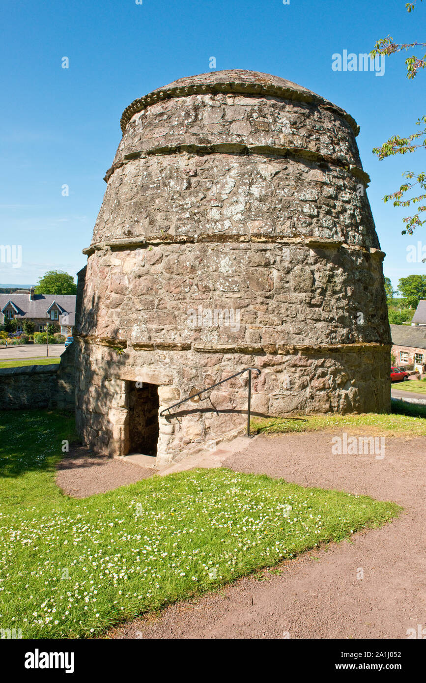 Dome shaped tree hi-res stock photography and images - Alamy