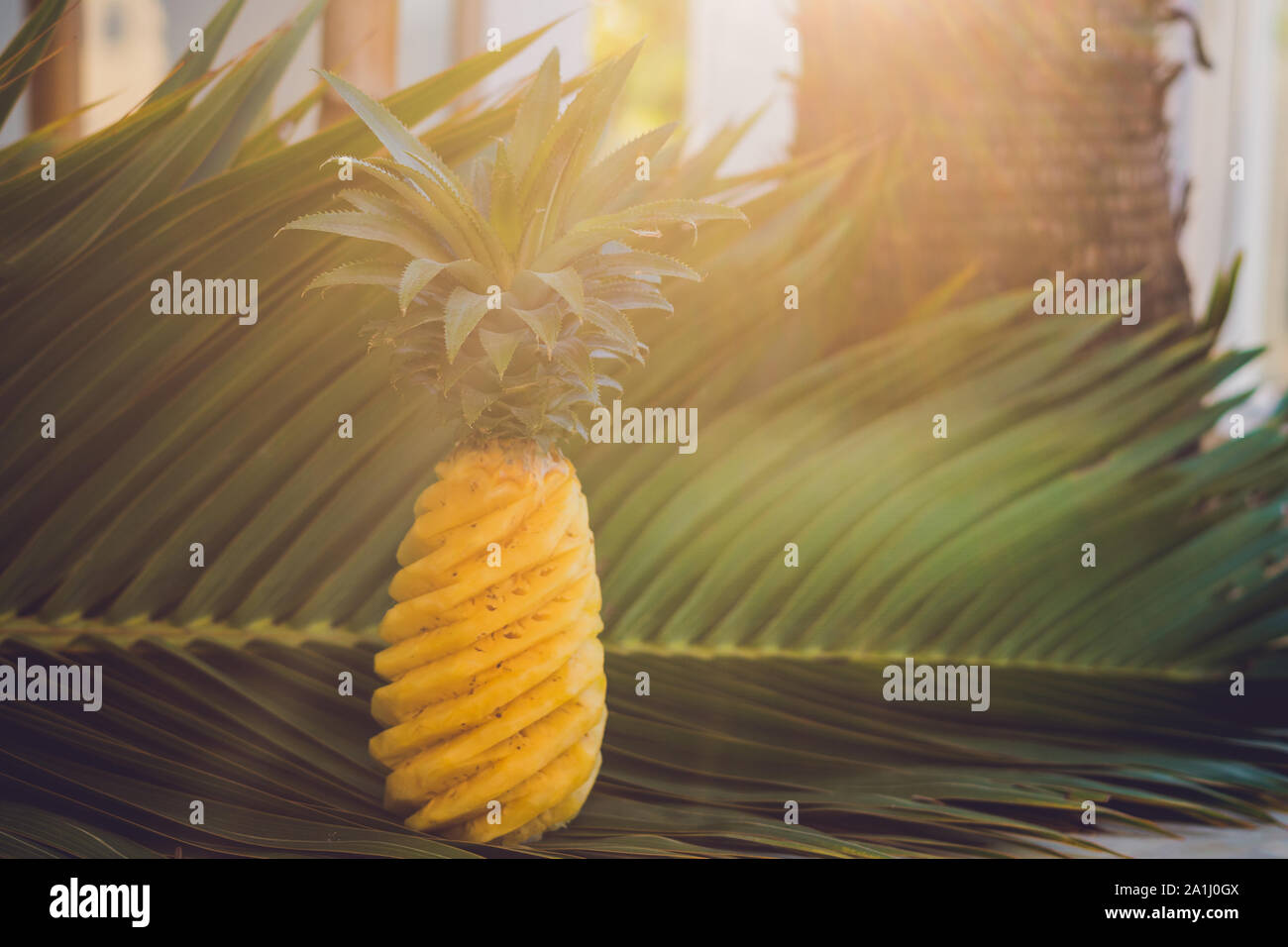 Pineapple and pineapple smoothies against the background of a branch of ...