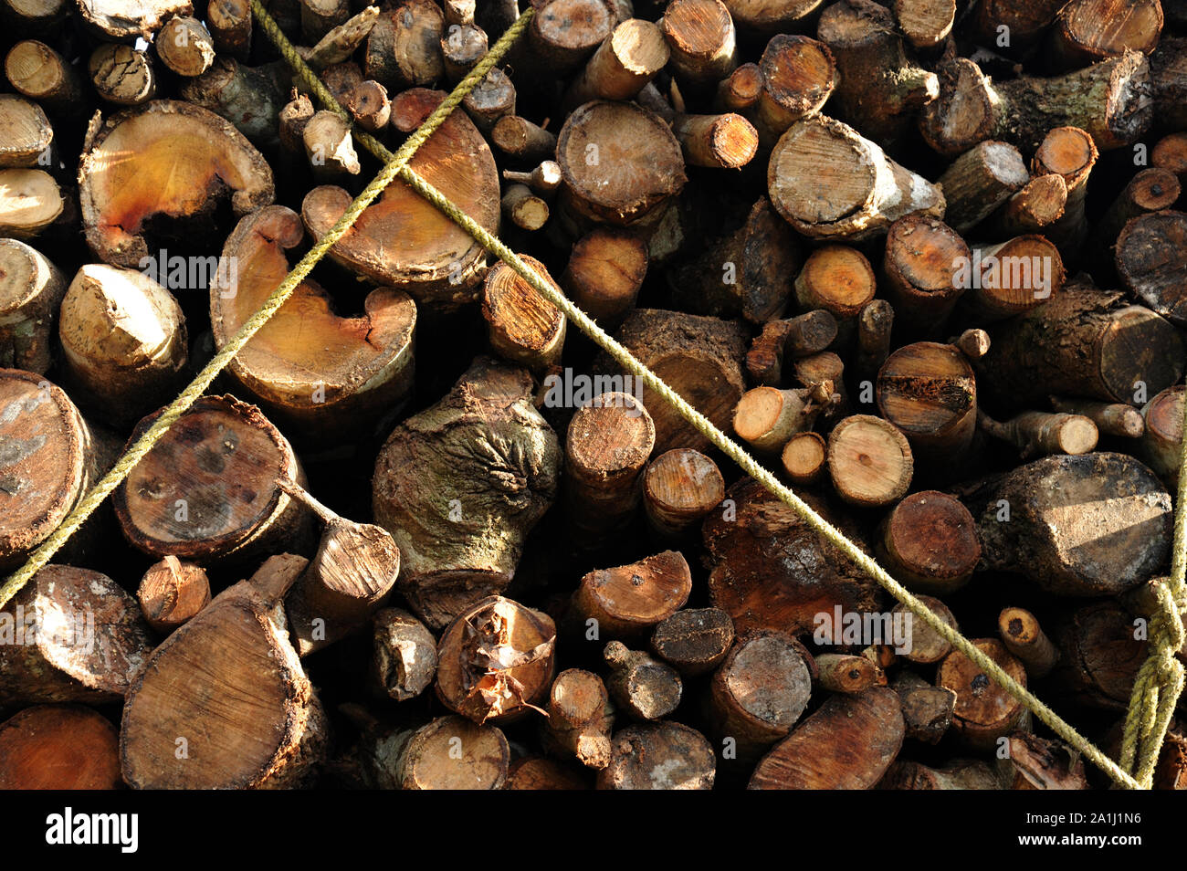 Truck load firewood hi-res stock photography and images - Alamy