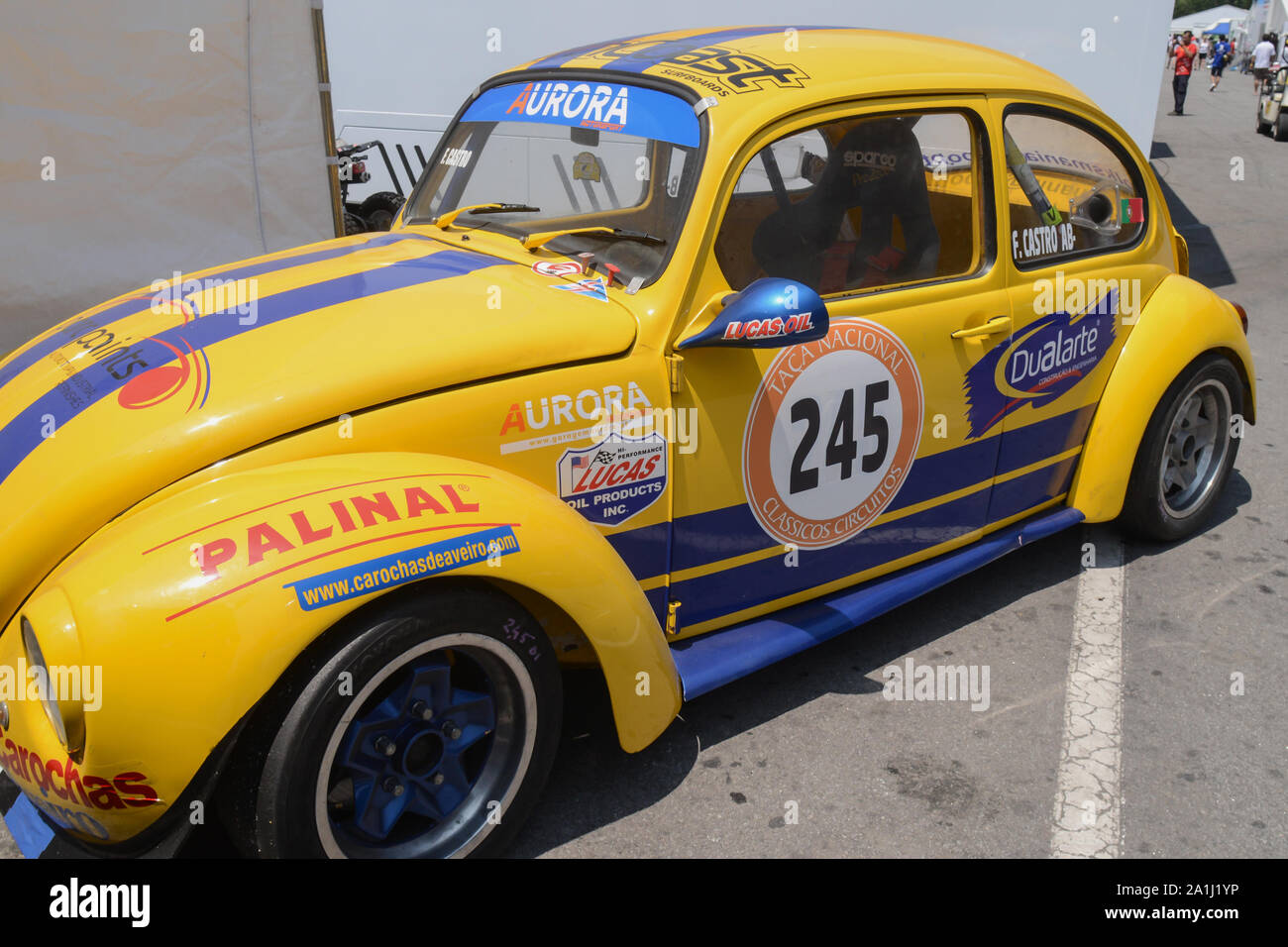 Race beetle hi-res stock photography and images - Alamy
