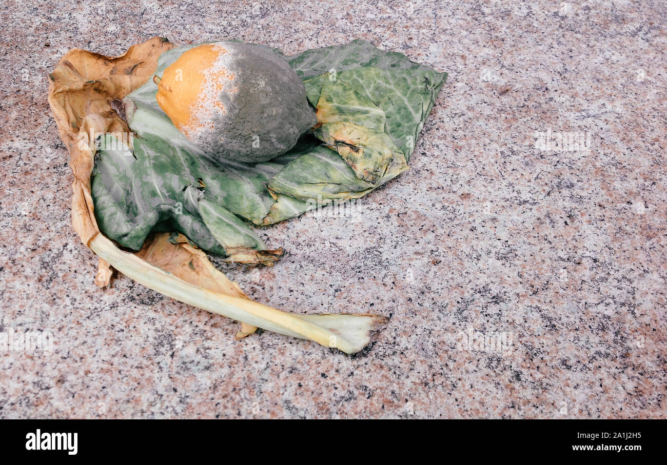 Rotten lemon, green onion and cabbage on the grey table. Still life ...