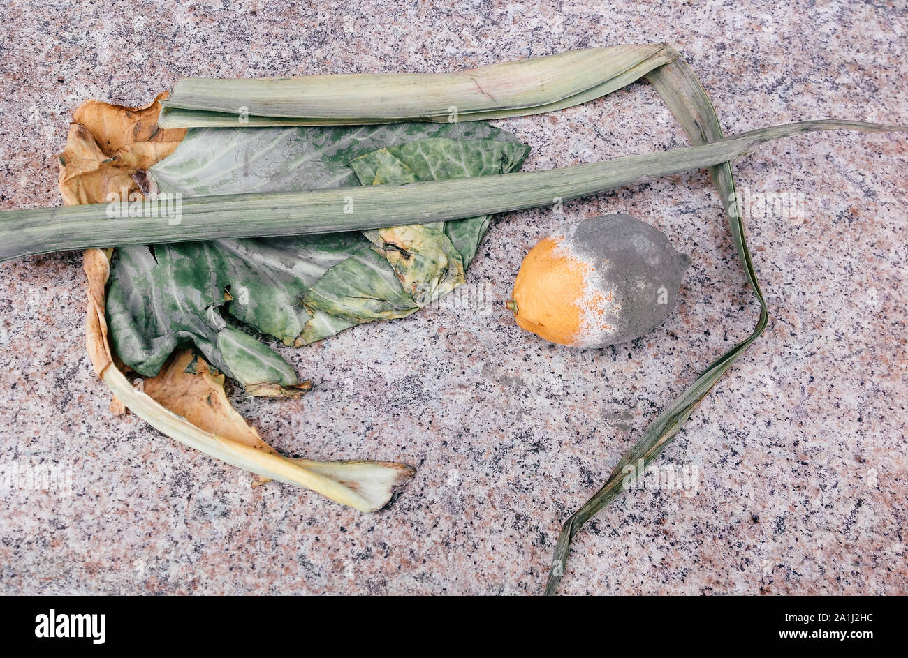 Decayed lemon hi-res stock photography and images - Alamy