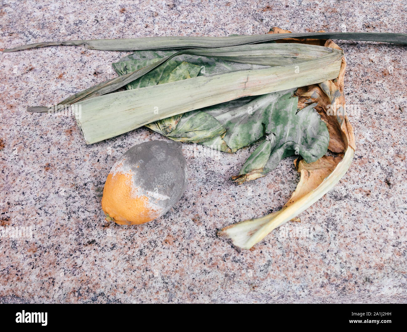 Rotten lemon, green onion and cabbage on the grey table. Still life ...