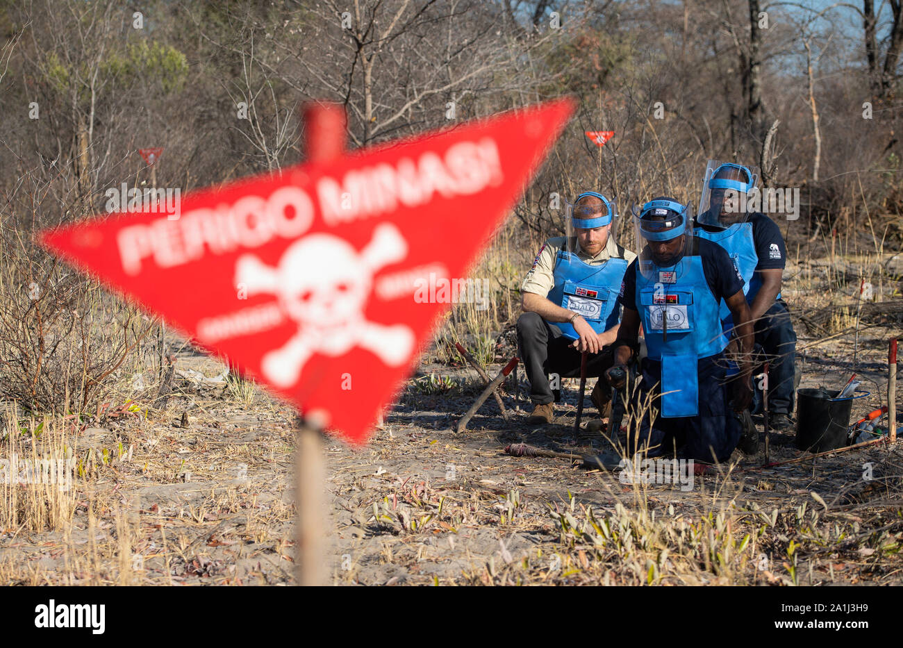 Dirico angola hi-res stock photography and images - Alamy