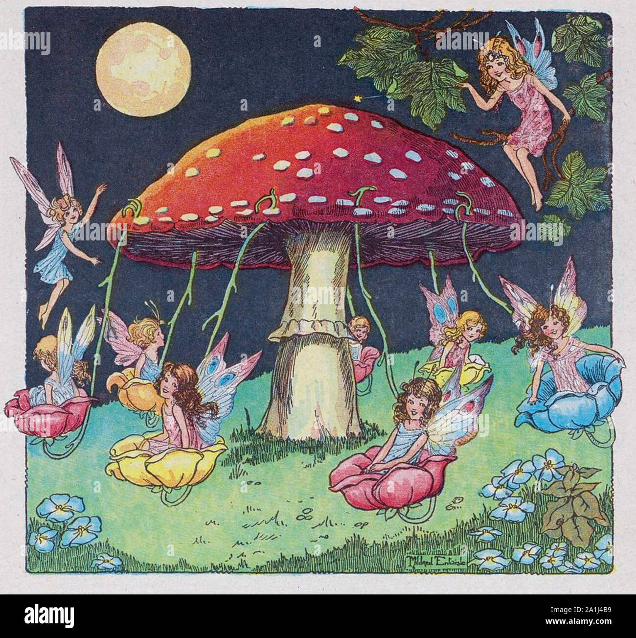 Fairies And Mushrooms