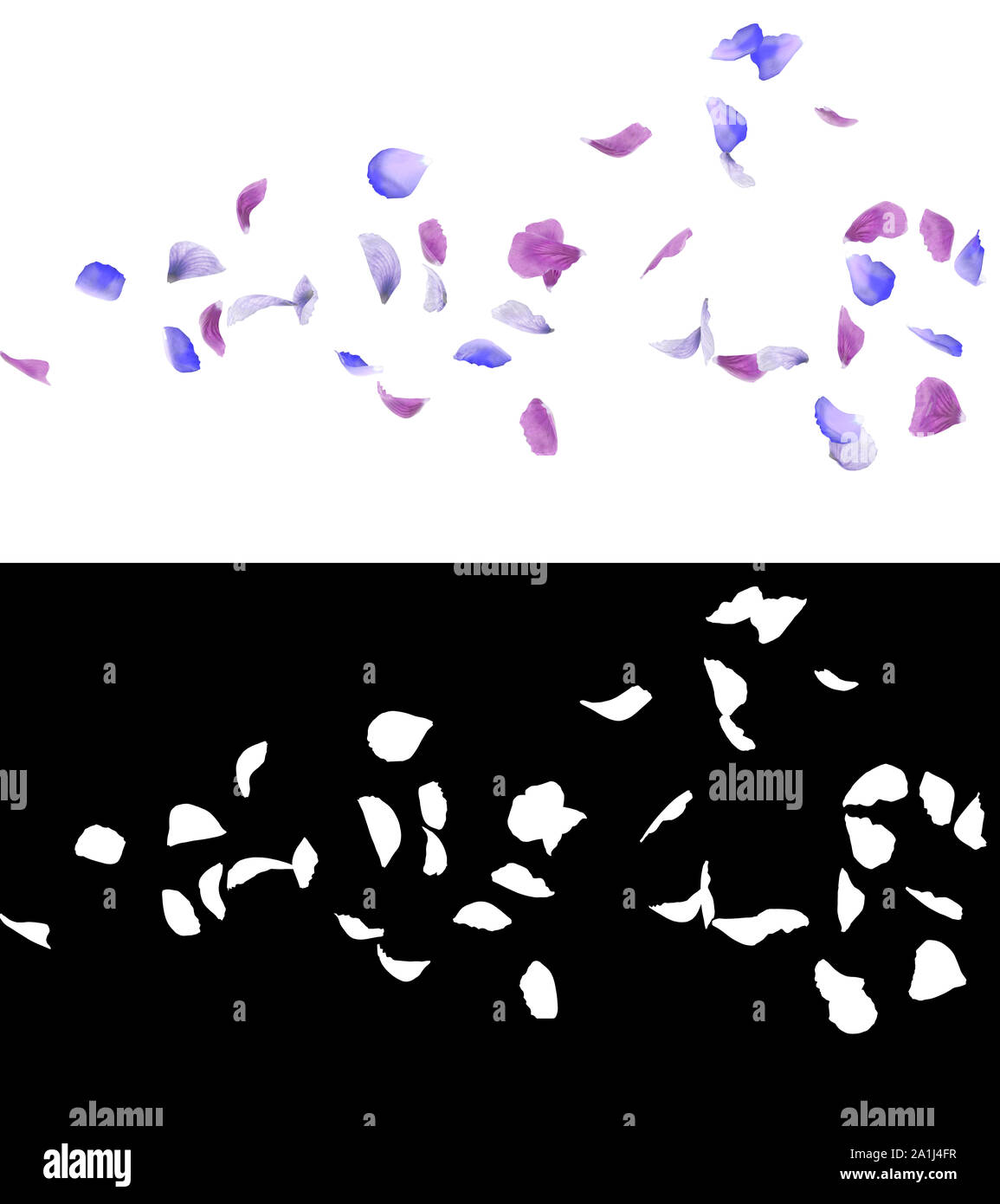 3D illustration of a flower petals flow with alpha layer Stock Photo ...