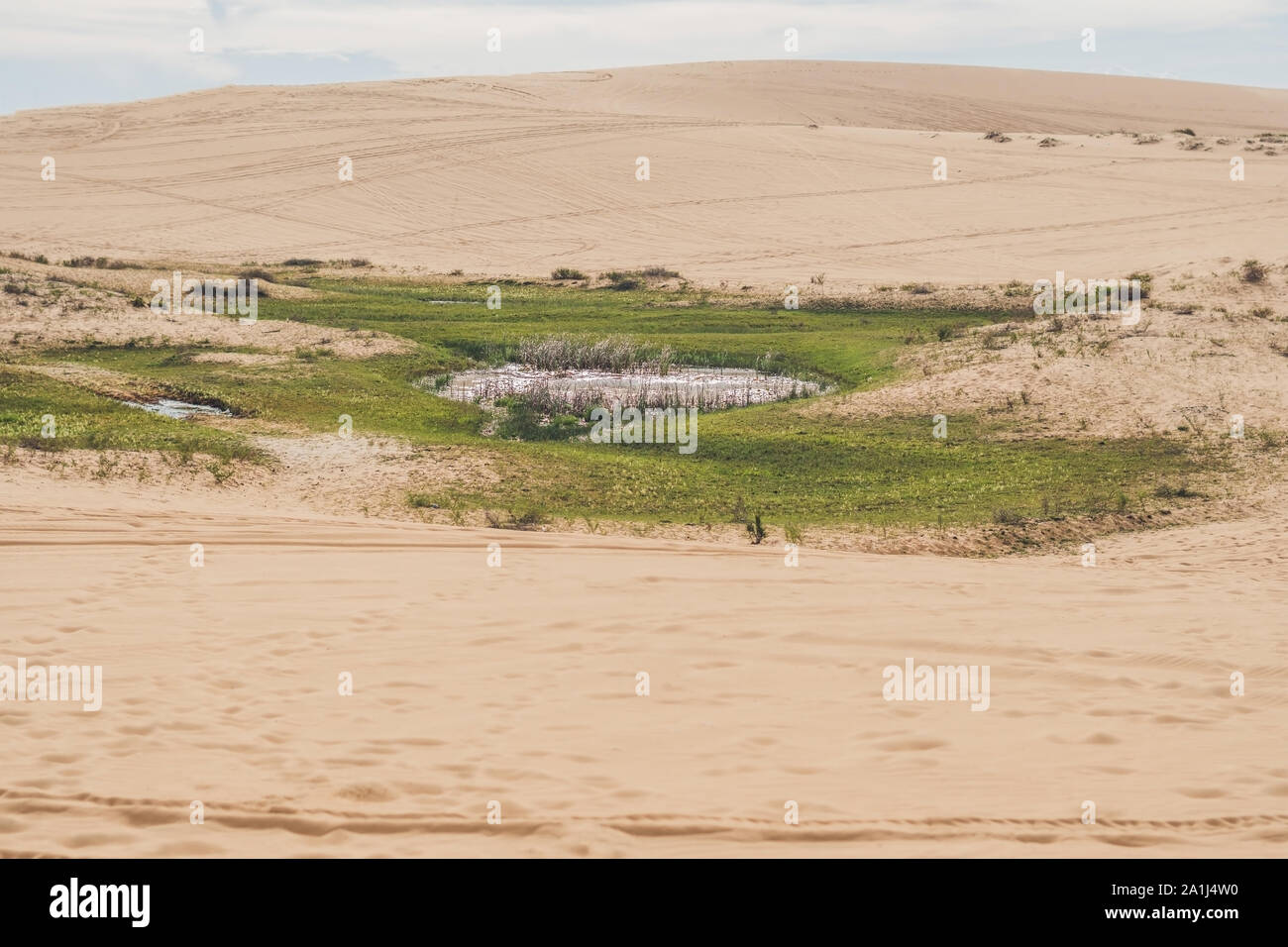 Oasis in the desert, Mui Ne, Vietnam Stock Photo - Alamy