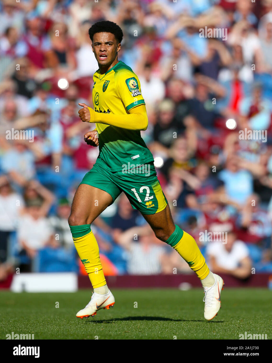 Norwich City's Jamal Lewis Stock Photo - Alamy