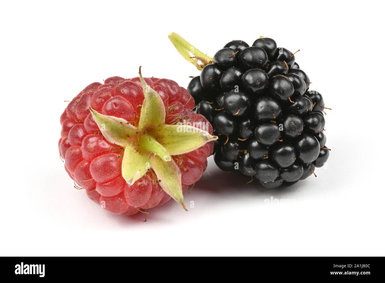 Ripe blackberry and raspberry isolated white background. High ...