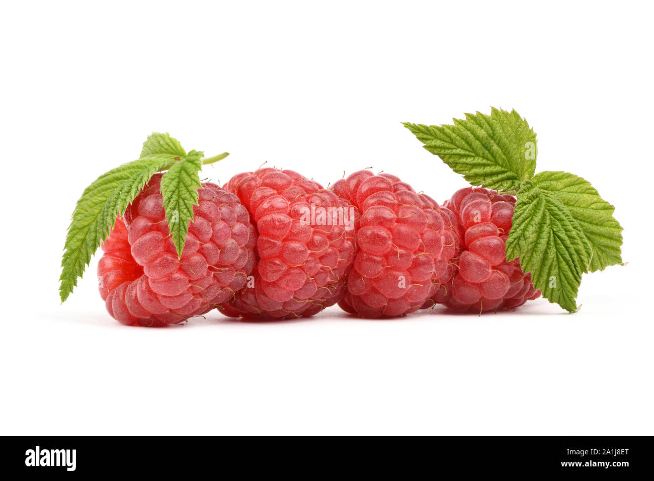 Four red raspberry berries isolated on white background. High ...