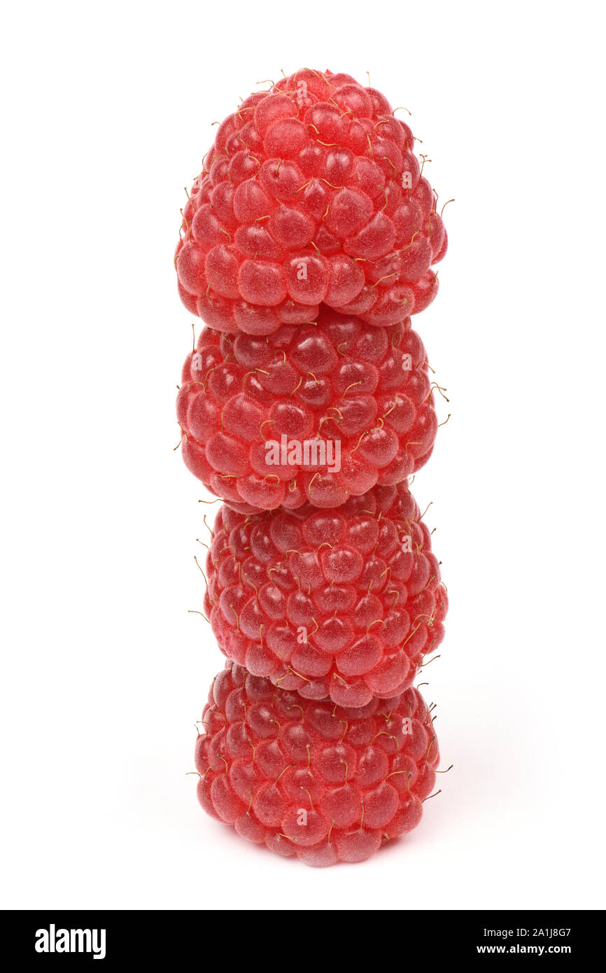 Four raspberries stacked on top of each other, isolated on white ...