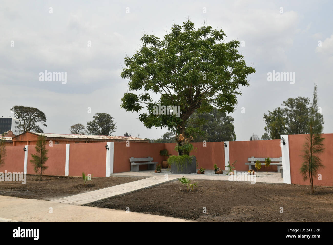 The Diana Tree in Huambo, Angola, which marks the spot where the ...