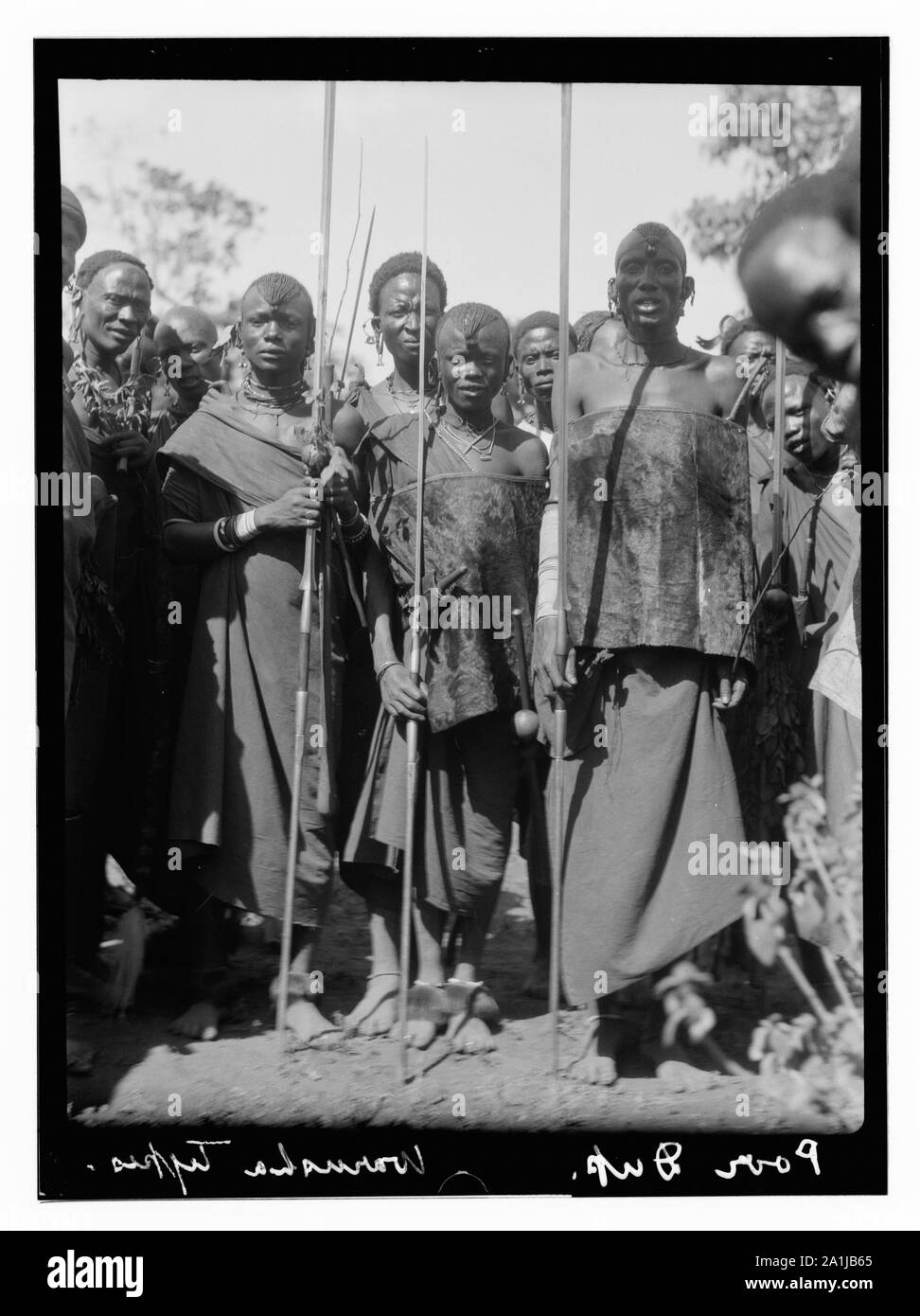 Individual types Cut Out Stock Images & Pictures - Alamy