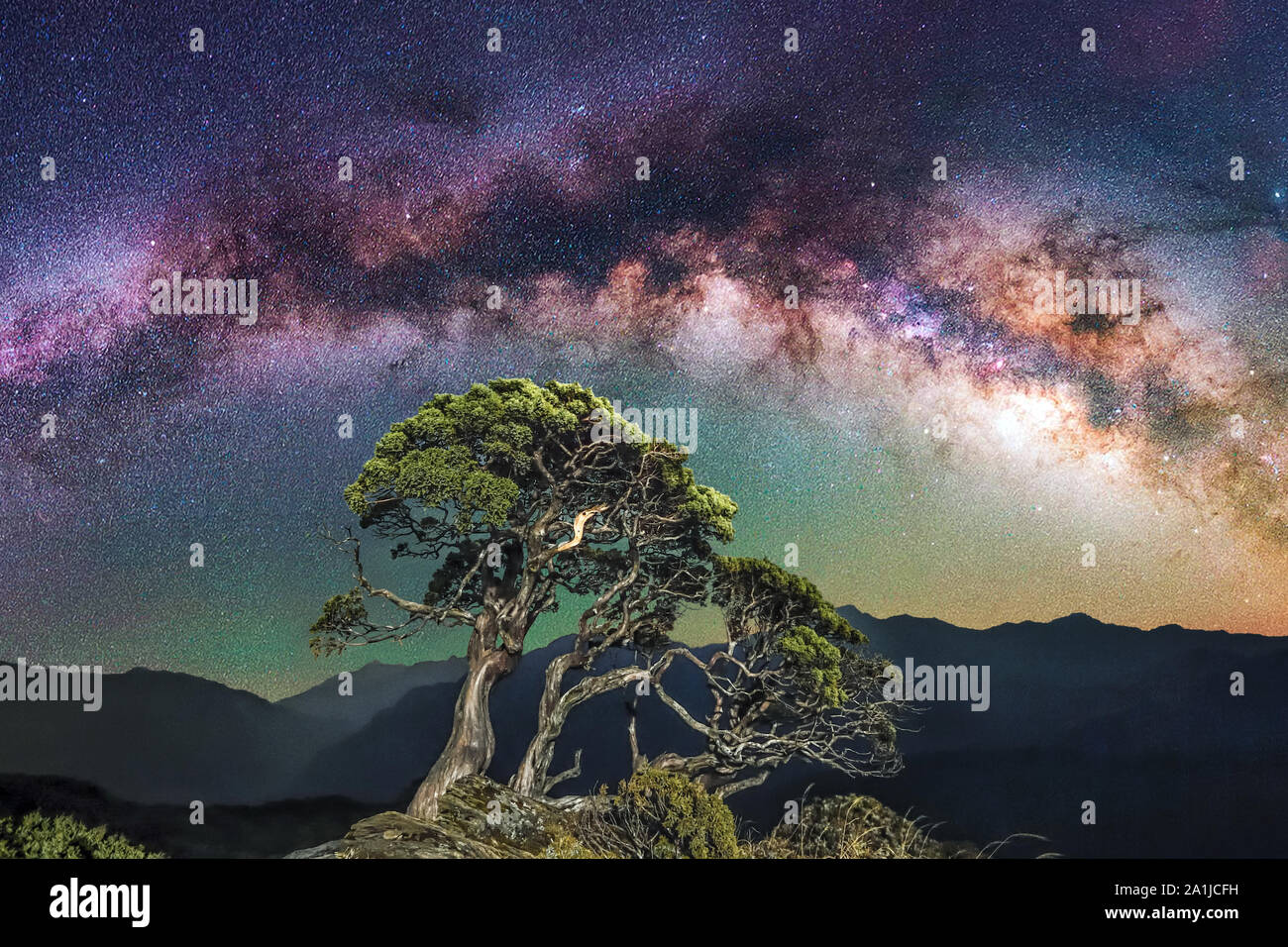 trees and milky way Stock Photo - Alamy