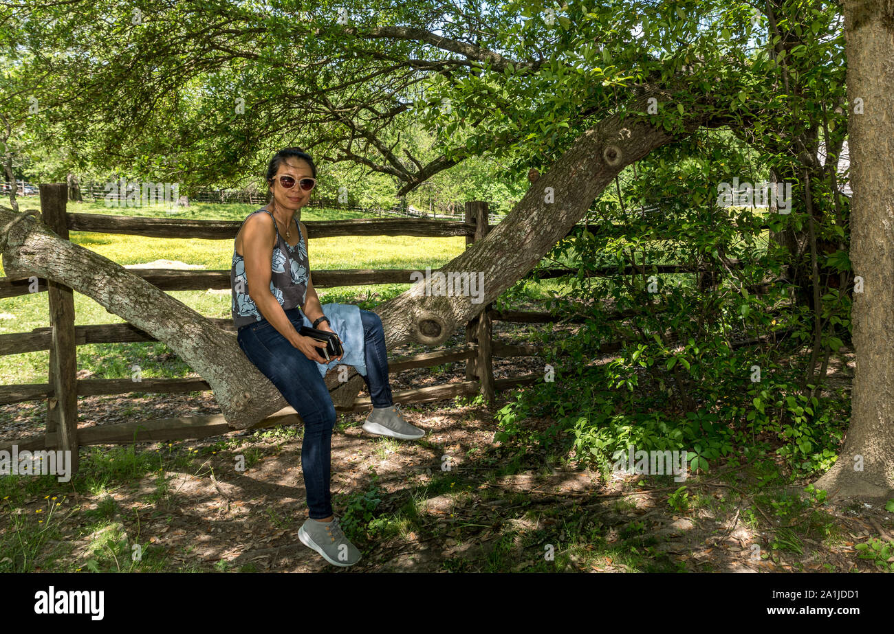 Asian woman with sunglasses and jeans sitting on branch of tree in ...