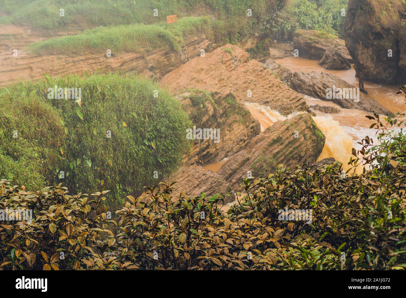 Fog over river tropics hi-res stock photography and images - Alamy