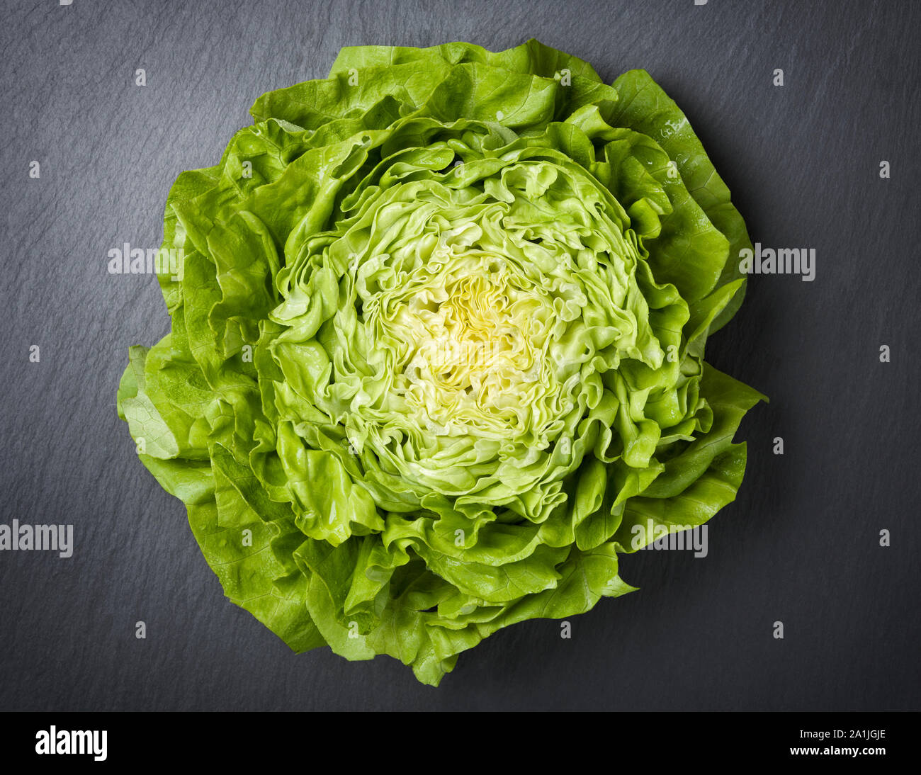 Chopped lettuce hi-res stock photography and images - Alamy
