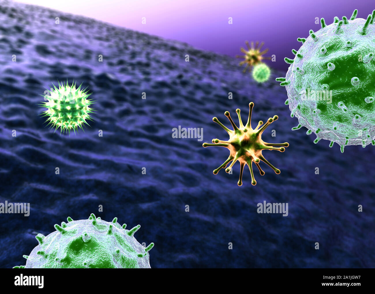 lymphocyte attack the Flu Virus, Healthcare And Medicine, Cold And Flu ...