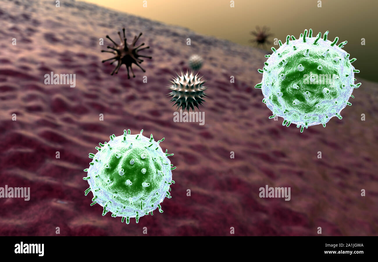 Phagocyte and lymphocyte hi-res stock photography and images - Alamy