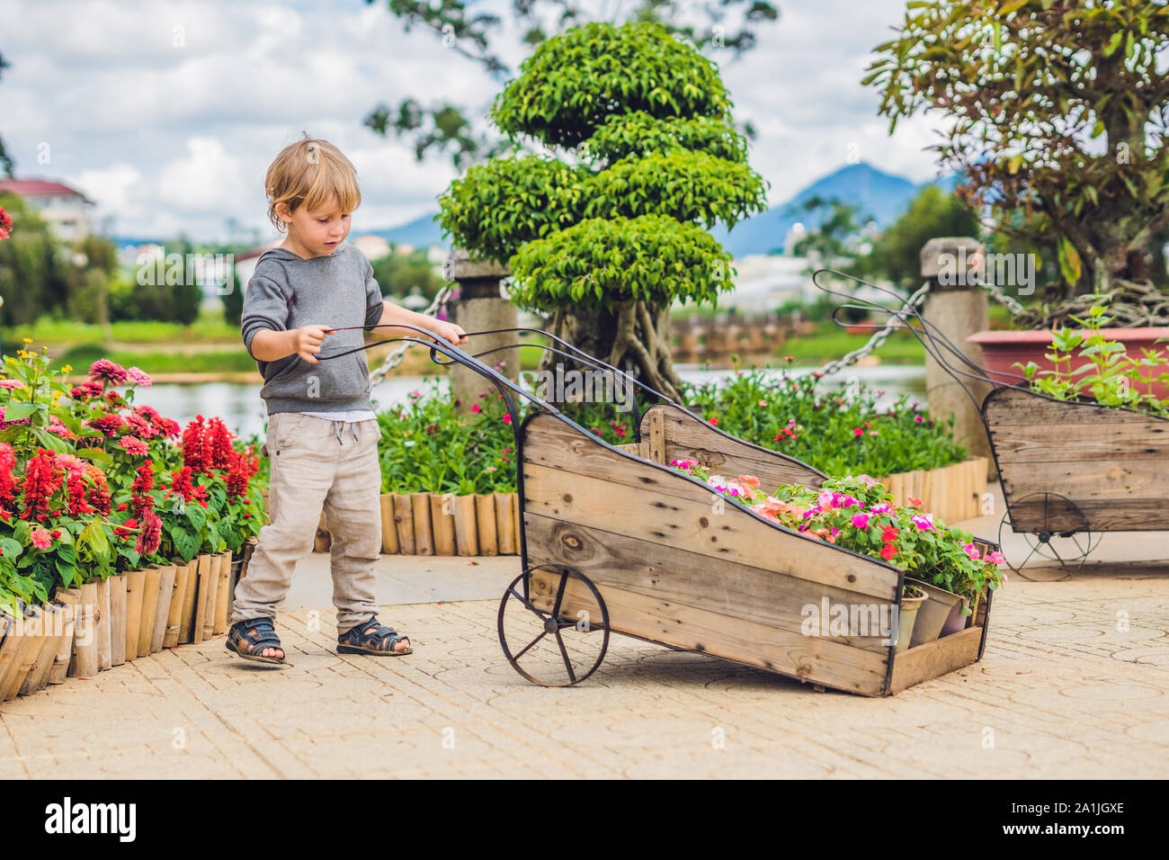 child pushing wheel trolley in the garden. sweet little toddler boy ...