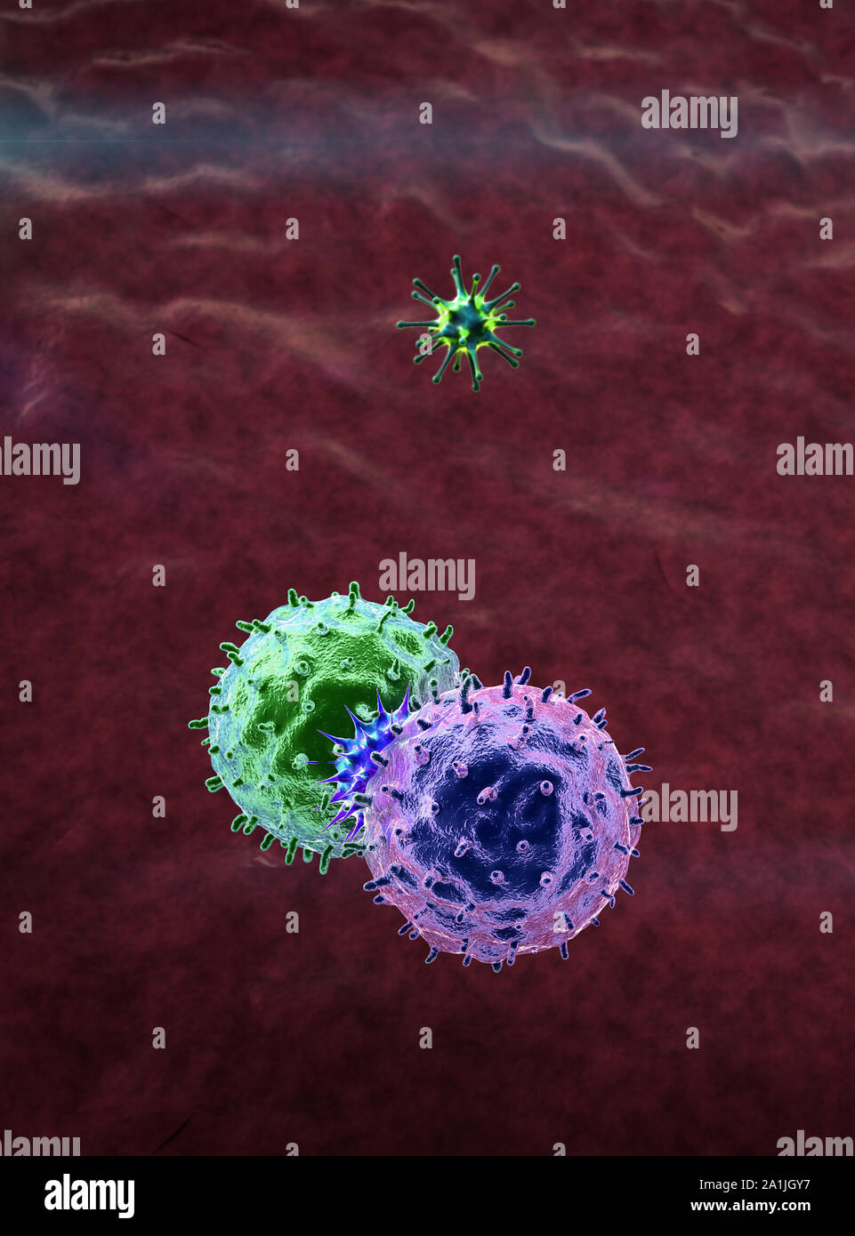lymphocyte attack the Flu Virus, Healthcare And Medicine, Cold And Flu ...