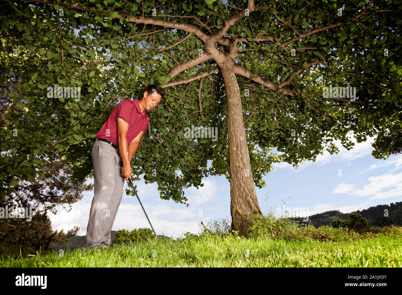 Golf player under tree Stock Photo - Alamy