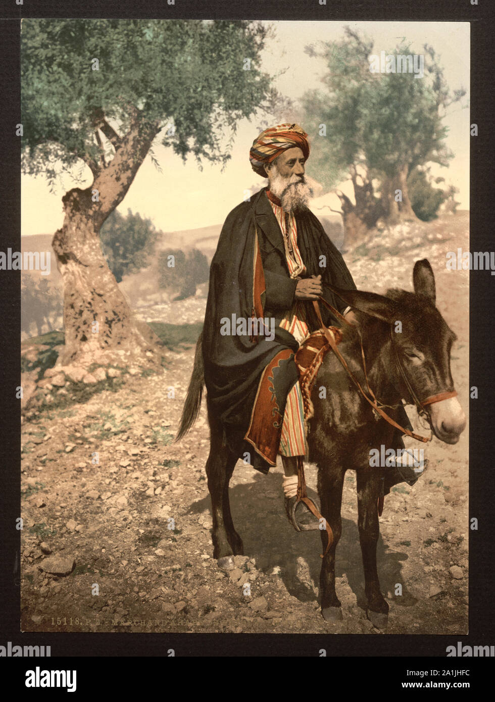 Native of Bethlehem on his donkey, Holy Land, (i.e., West Bank Stock ...
