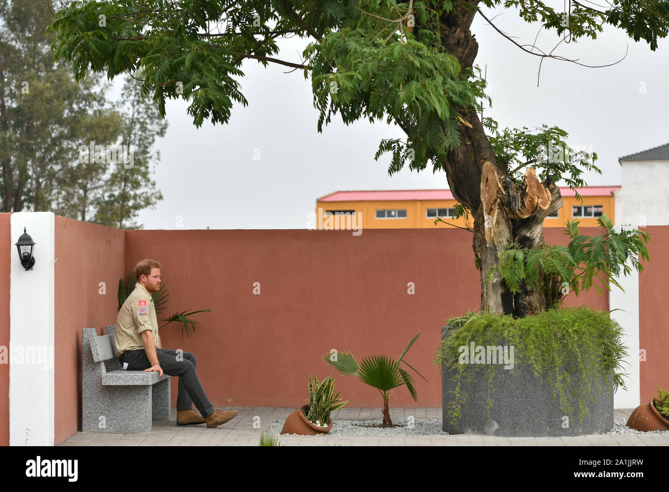 The Duke of Sussex sits alone beneath the Diana Tree in Huambo, Angola ...