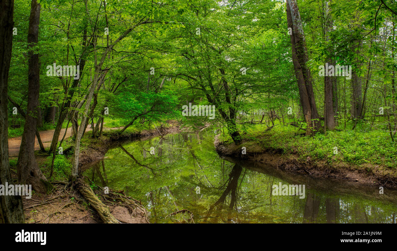Woman relfection water hi-res stock photography and images - Alamy