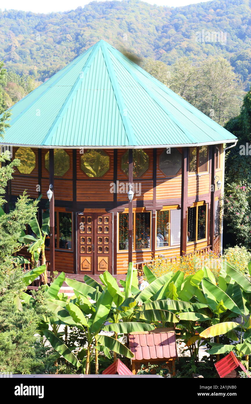 Caucasus insects hi-res stock photography and images - Alamy