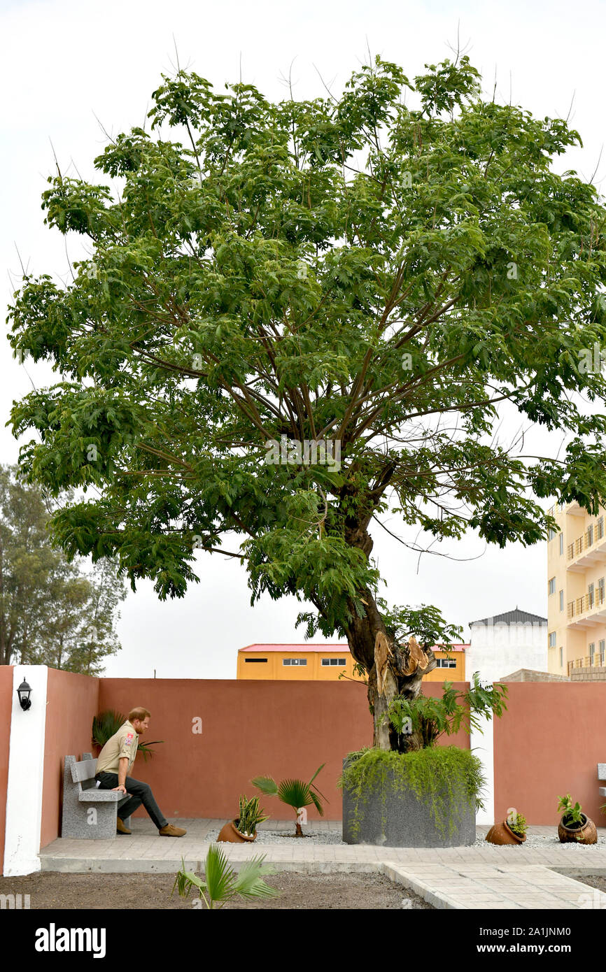 The Duke of Sussex sits alone beneath the Diana Tree in Huambo, Angola ...