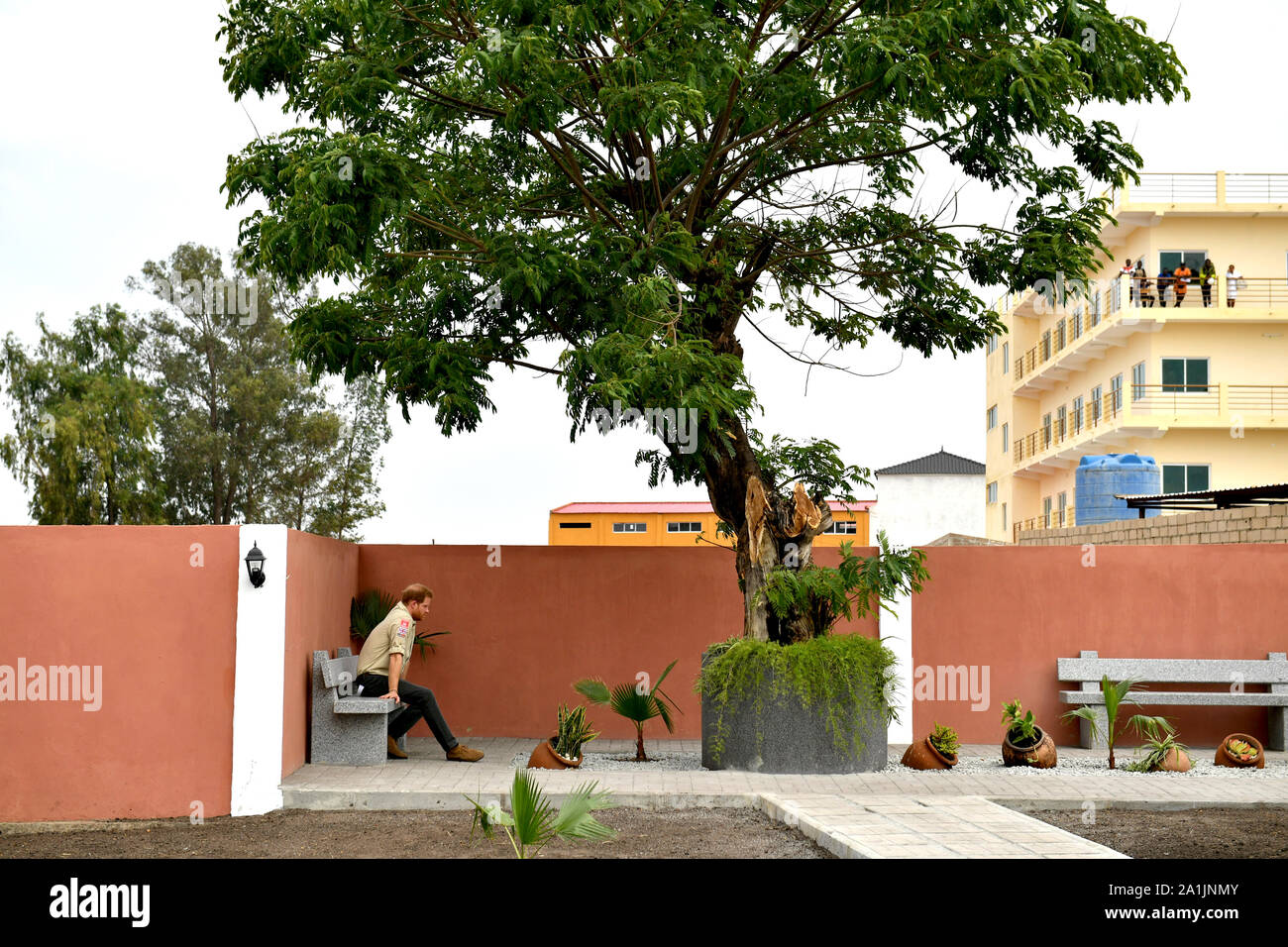 The Duke of Sussex sits alone beneath the Diana Tree in Huambo, Angola ...