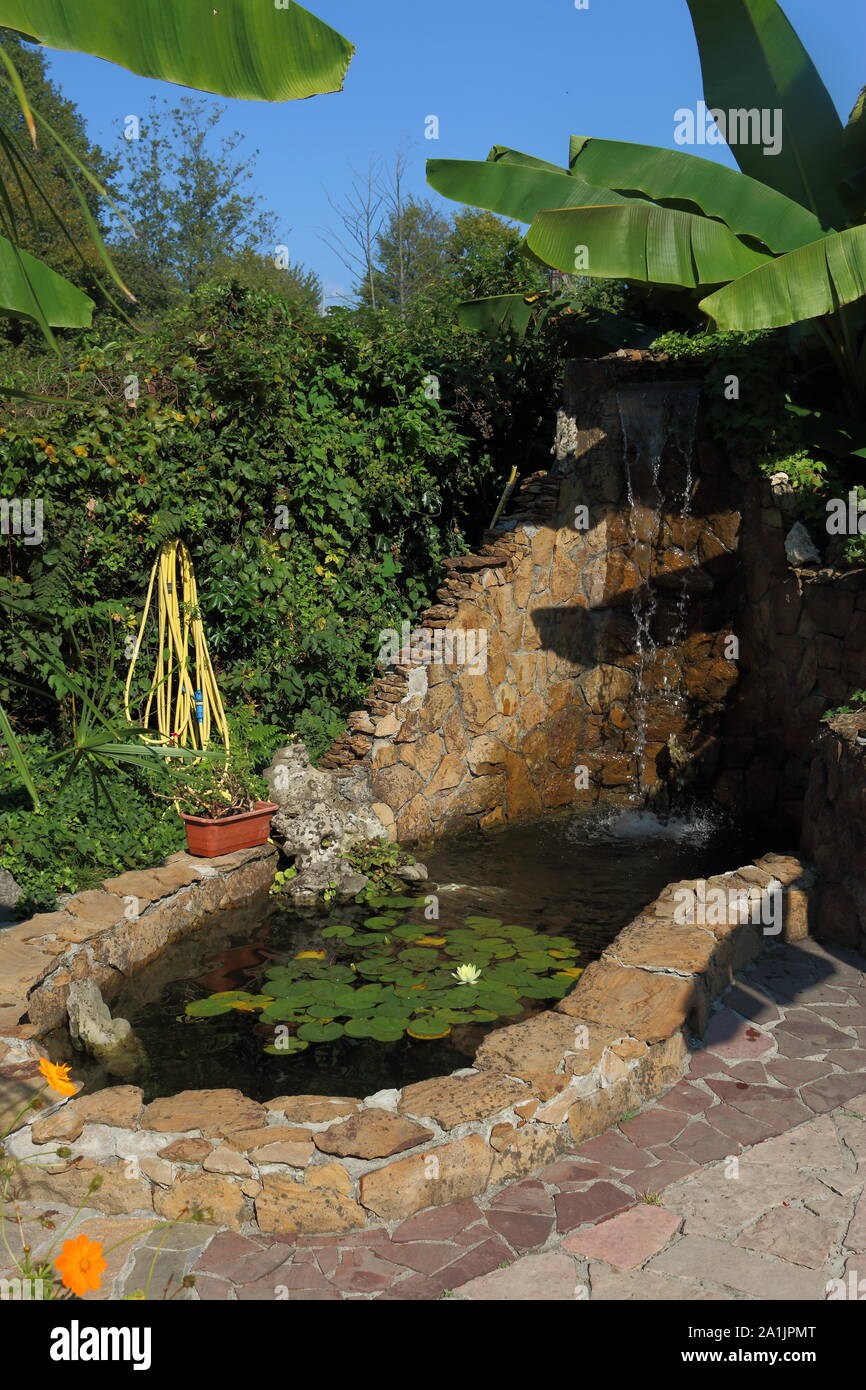 Caucasus insects hi-res stock photography and images - Alamy