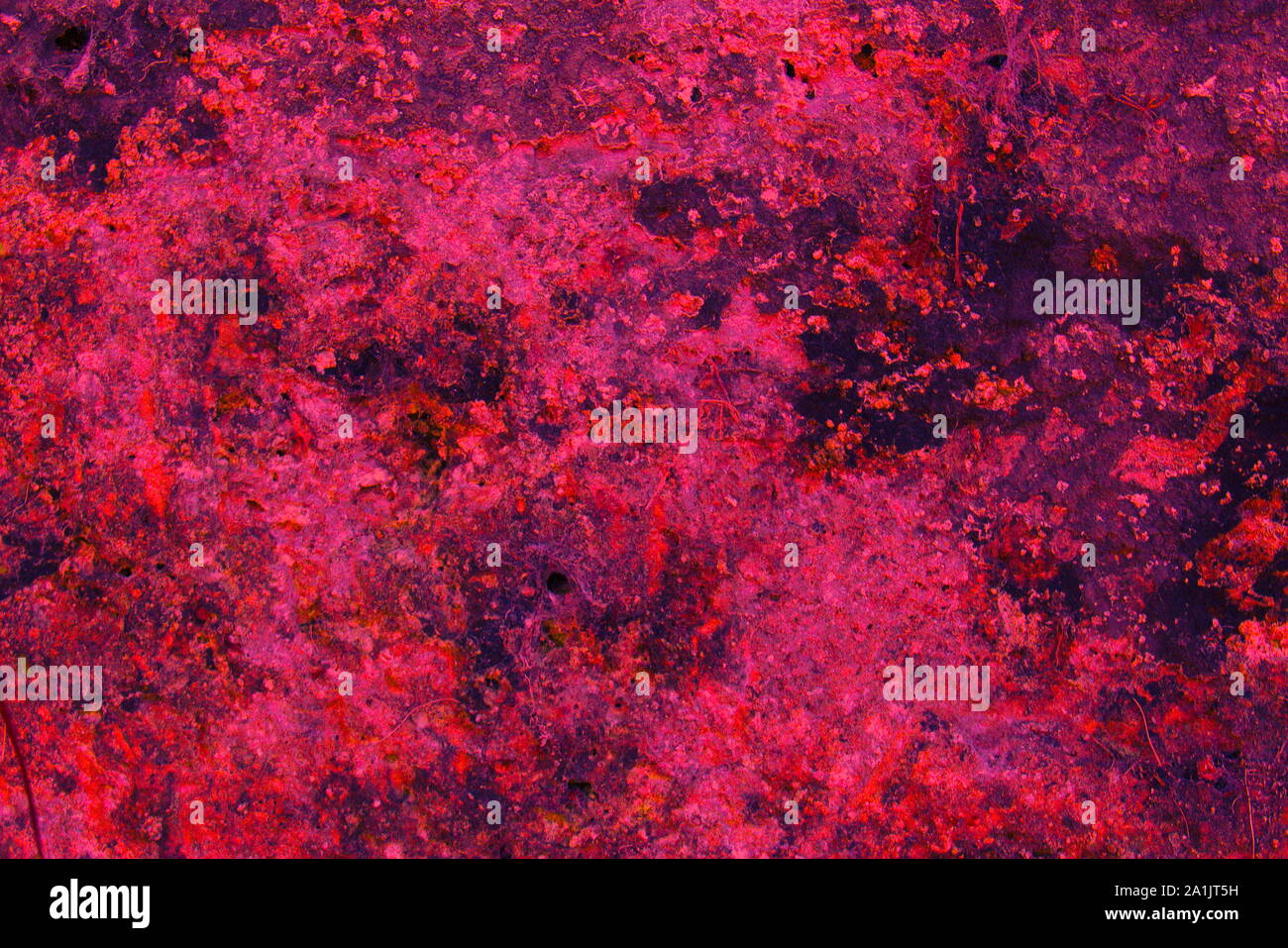 Abstract red texture background that looks like fire or lava Stock ...