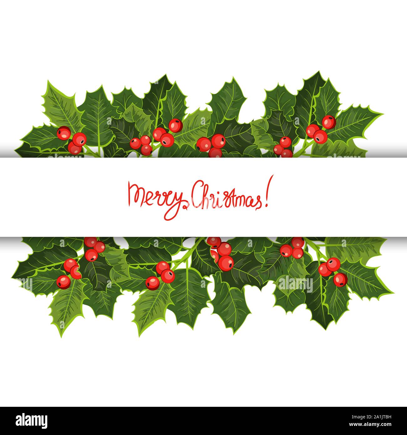 See holly Stock Vector Images - Alamy